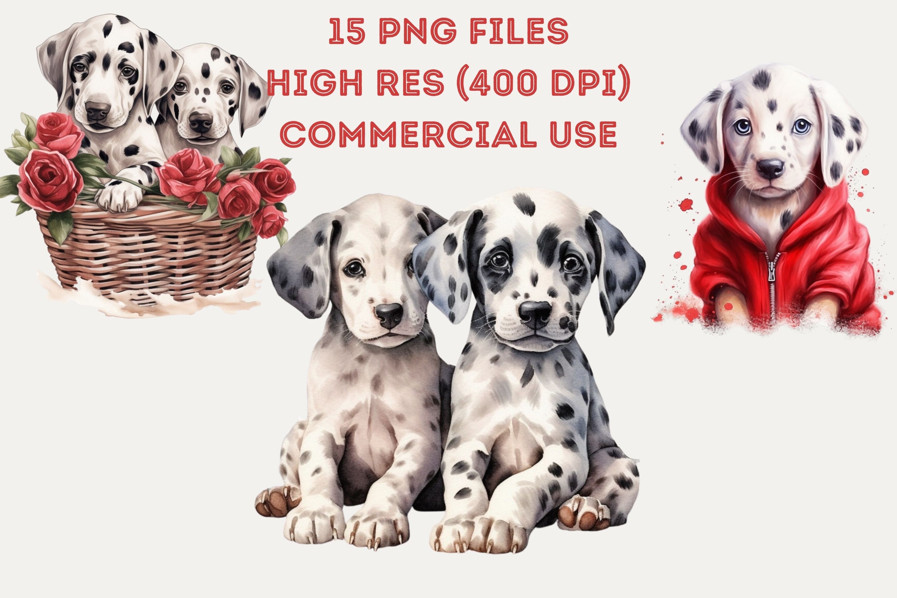 Dalmation Clipart Bundle PNG Dalmation Art Watercolor Dog Portrait ...