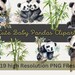Watercolor Panda Clipart Bundle, Cute Baby Pandas Digital Art for ...