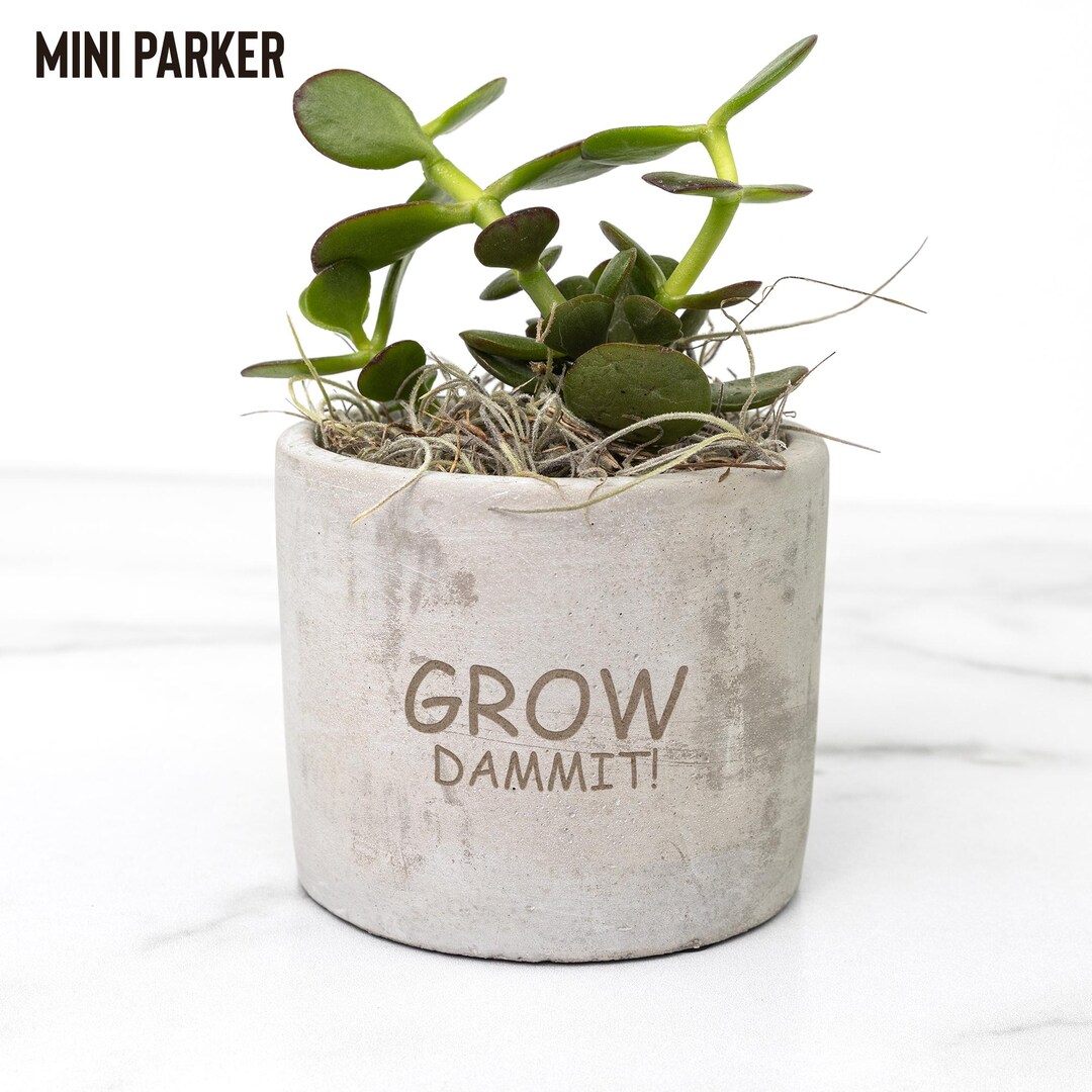 Grow Dammit Succulent Gift: Recycled Plastic Pot, Funny Desk Plant - Etsy