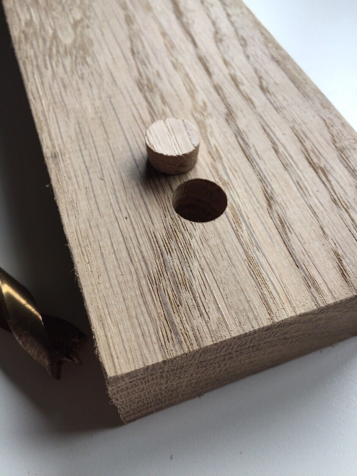 10 Oak Plugs 12mm, Oak Pellets, Tapered Oak Plugs Hand Cut Cross Grain ...