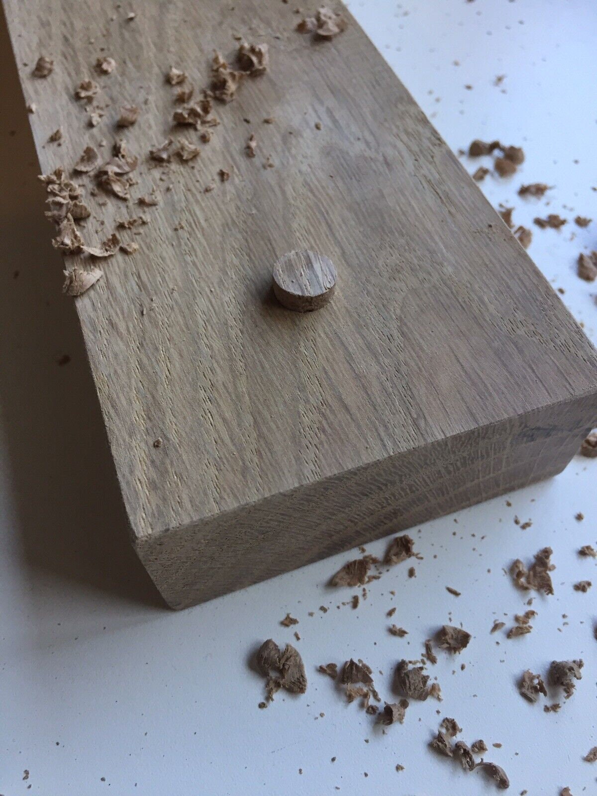 10 Oak Plugs 10mm, Oak Pellets, Tapered Oak Plugs Hand Cut Cross Grain ...