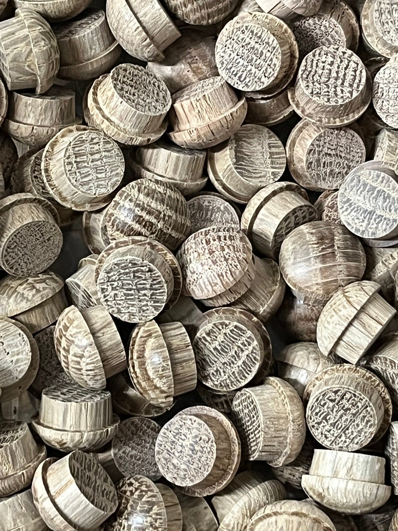 10 Oak Mushroom Head Plugs 12mm, End Grain. European Oak, Personalised ...