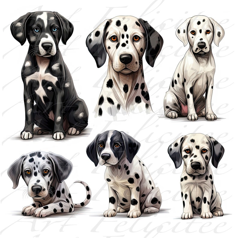 25 Dalmatian Clipart JPG, Dog Clipart Bundle, Dog JPG, Puppy Clipart ...