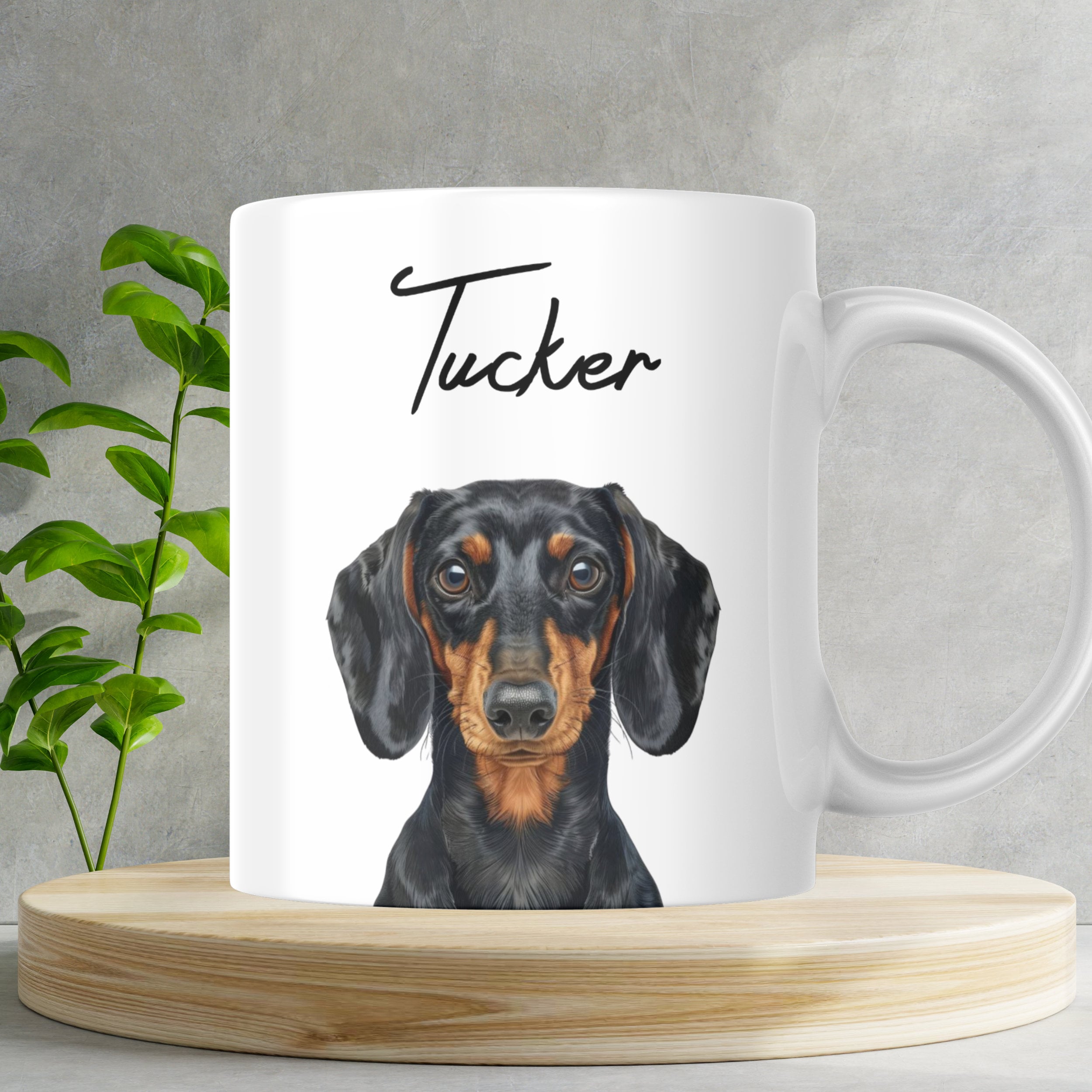 Dachshund Gifts, Dachshund Mom, Wiener Dog Gift, Dachshund Mug, Long ...