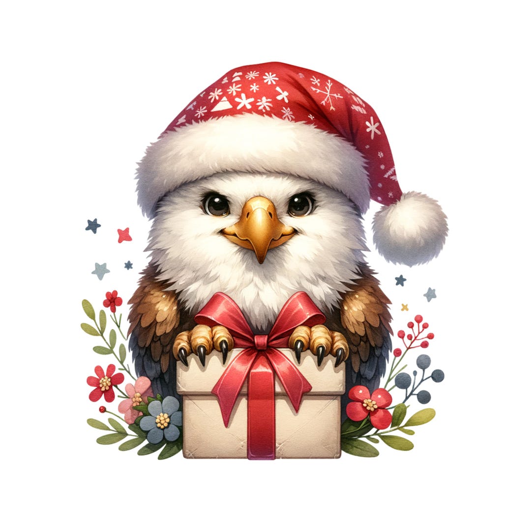 Christmas Hawk Clipart Cute Hawk in Gift Box Hawk With Santa Hat ...