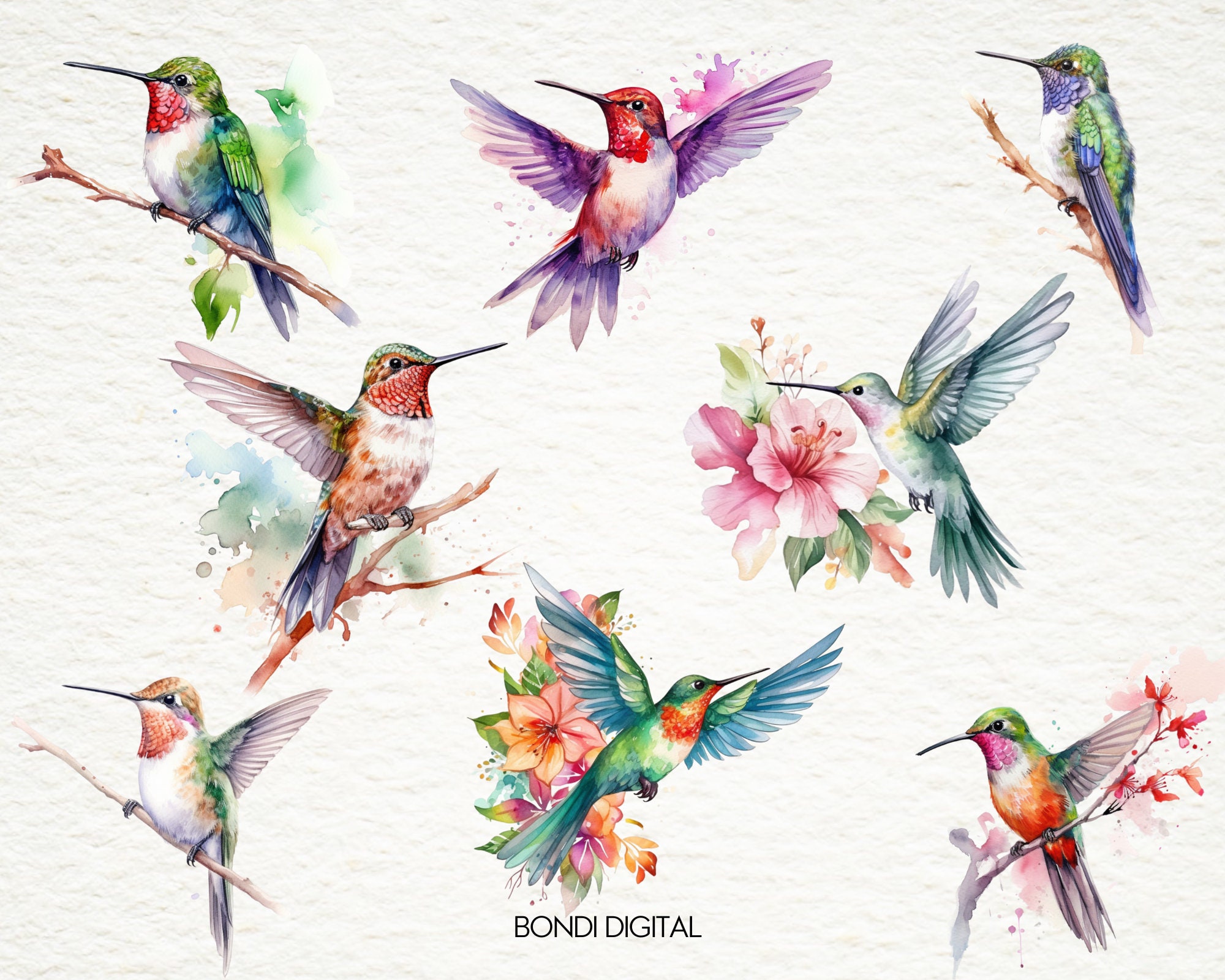 Watercolor Hummingbird Clipart | PNG Format for Commercial Use, Instant ...