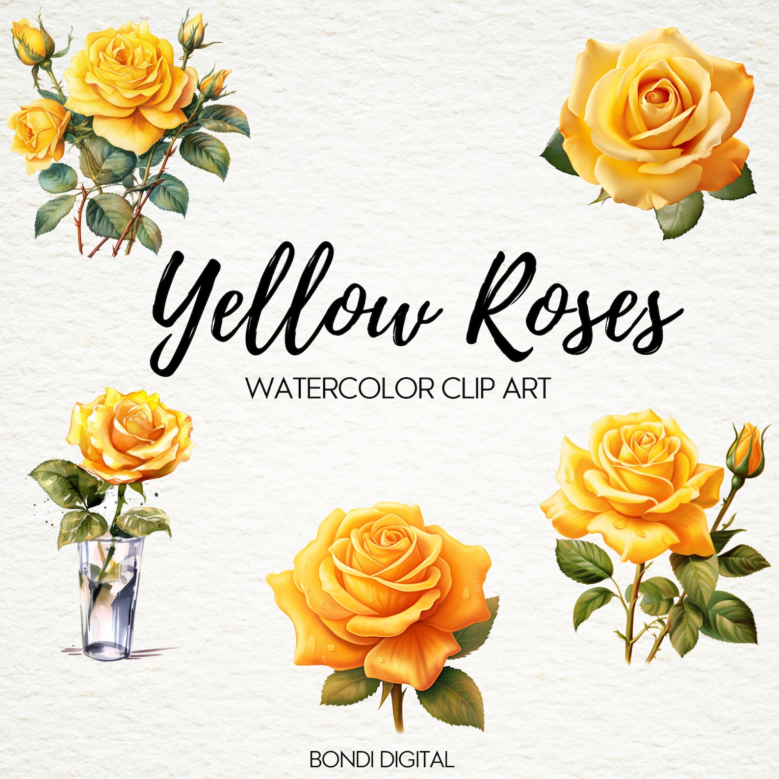 Watercolor Yellow Rose Clipart - PNG Format for Commercial Use, Instant ...