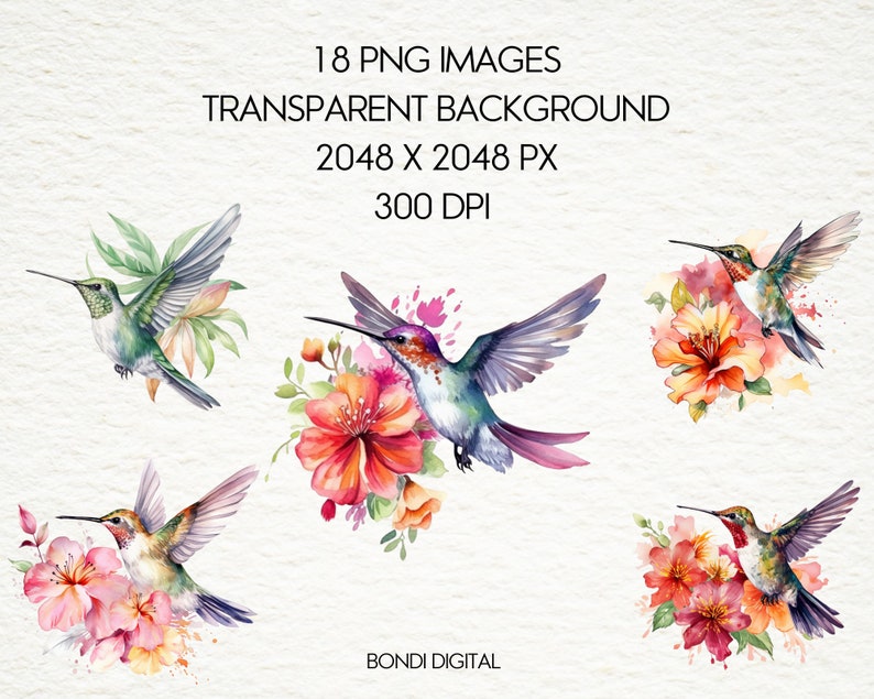 Watercolor Hummingbird Clipart | PNG Format for Commercial Use, Instant ...