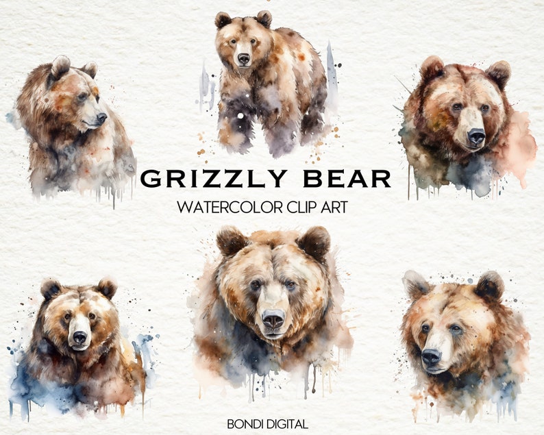 Watercolor Grizzly Bear Clipart | PNG Format for Commercial Use ...