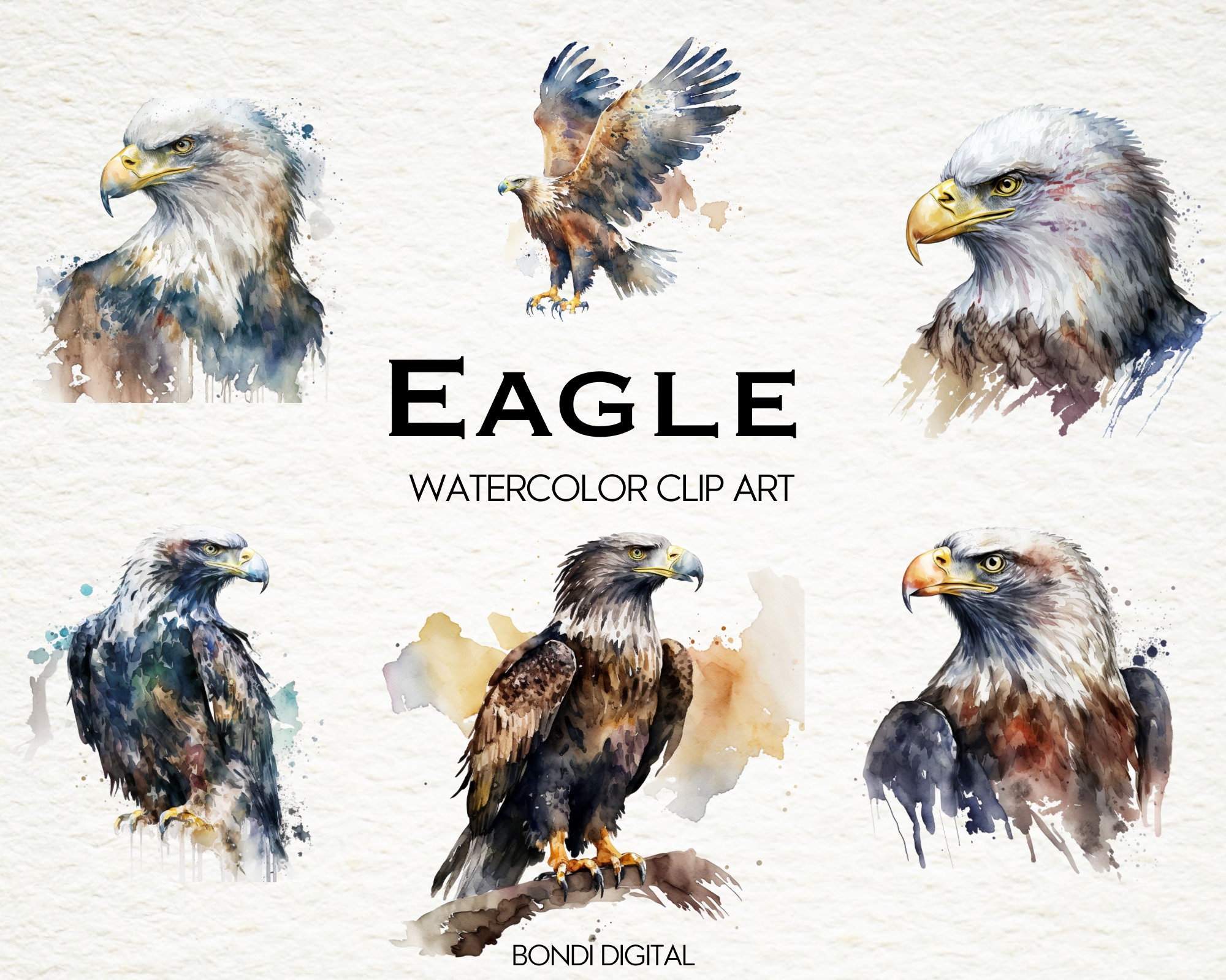 Watercolor Eagle Clipart | PNG Format for Commercial Use, Instant ...