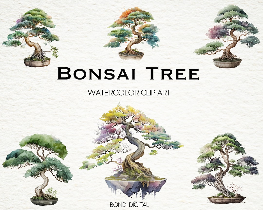 Watercolor Bonsai Tree Clipart | PNG Format for Commercial Use, Instant ...