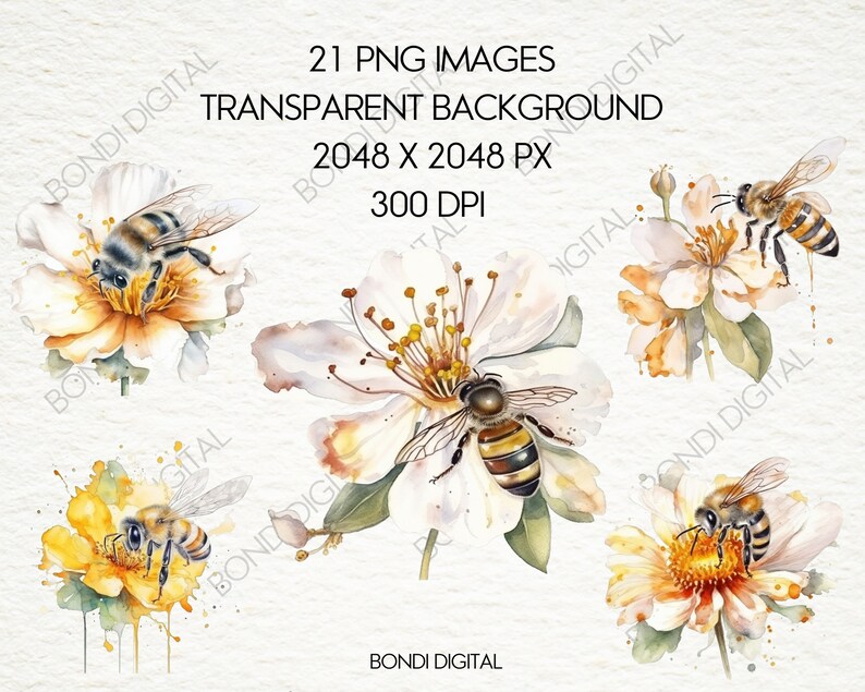 Watercolor Honey Bee Clipart Spring Flower Clipart PNG Format for ...