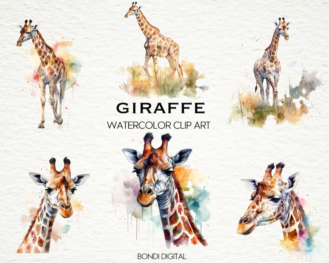 Watercolor Giraffe Clipart | PNG Format for Commercial Use, Instant ...