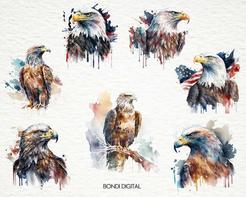 Watercolor Eagle Clipart | PNG Format for Commercial Use, Instant ...