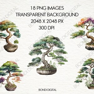 Watercolor Bonsai Tree Clipart | PNG Format for Commercial Use, Instant ...