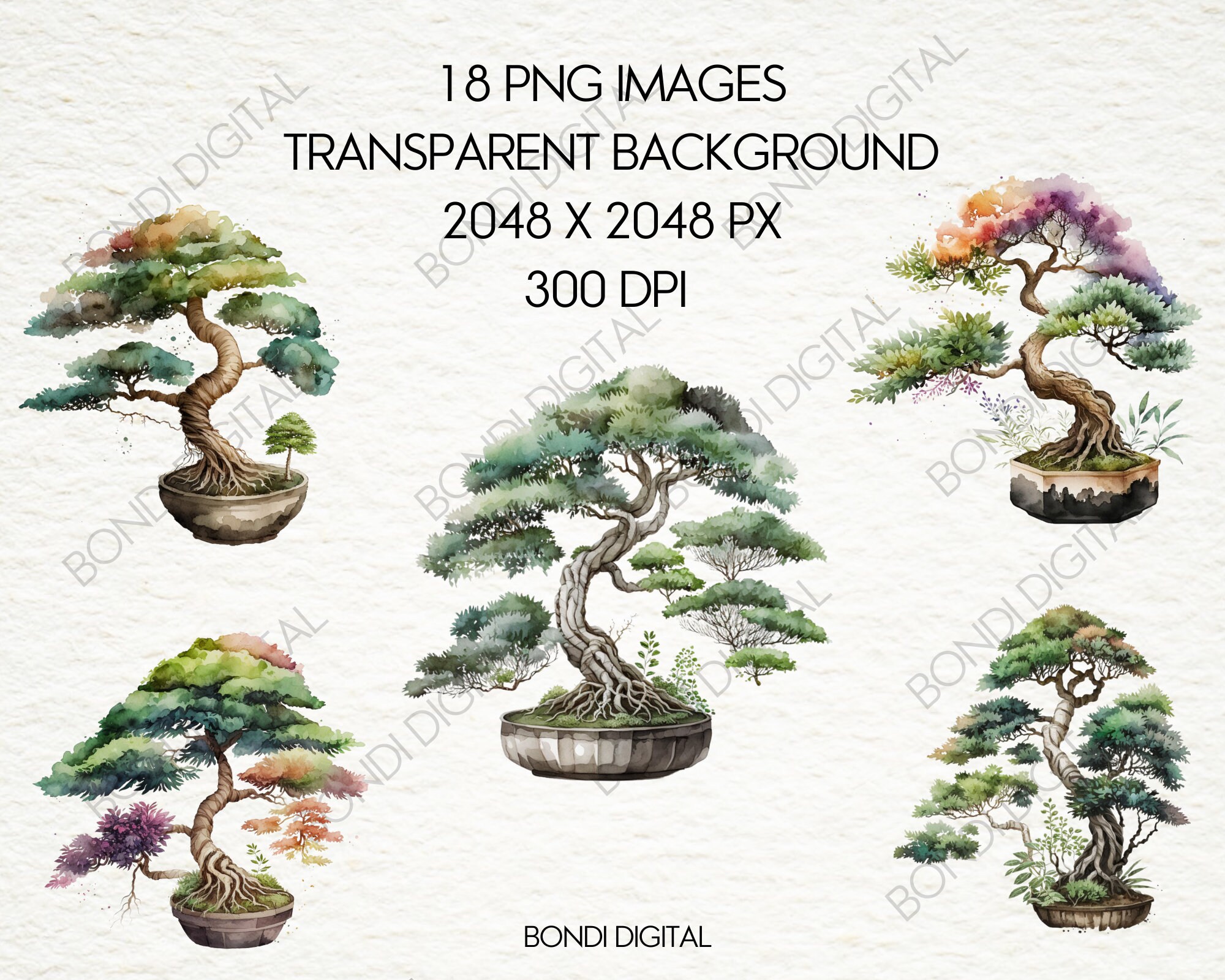Watercolor Bonsai Tree Clipart | PNG Format for Commercial Use, Instant ...