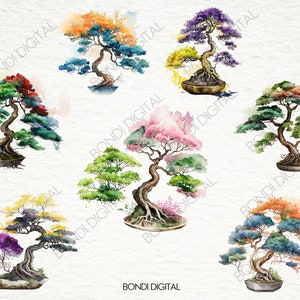 Watercolor Bonsai Tree Clipart | PNG Format for Commercial Use, Instant ...