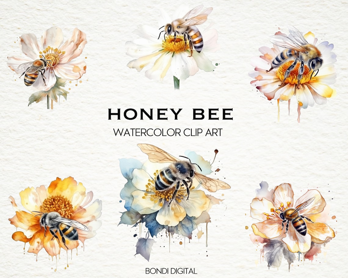 Watercolor Honey Bee Clipart Spring Flower Clipart PNG Format for ...