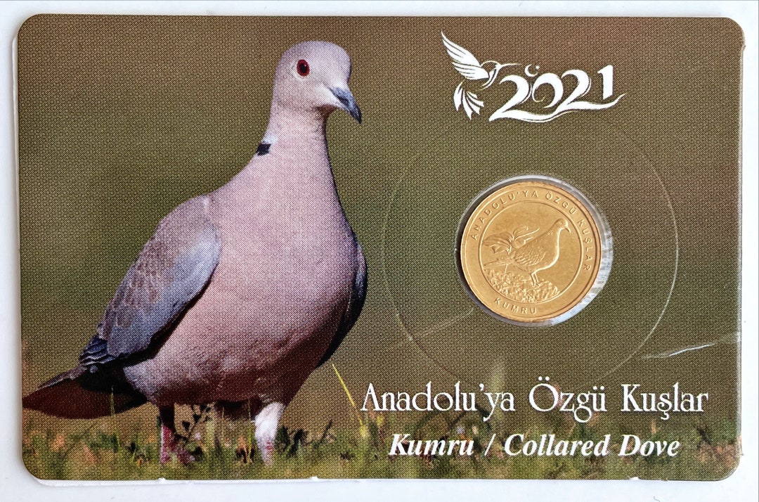Turkey Turkiye 1 Kurus 2021 Native Birds of Anatolia - Collared Dove ...