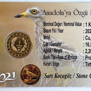 Turkey Turkiye 1 Kurus 2021 Native Birds of Anatolia - Stone Curlew ...