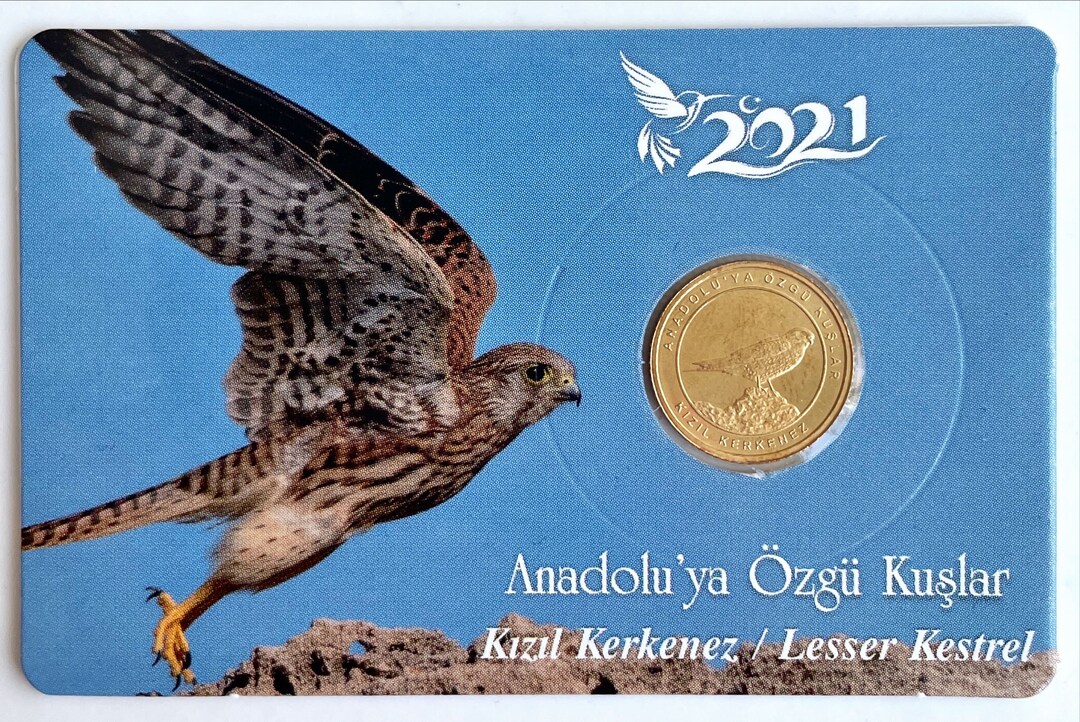 Turkey Turkiye 1 Kurus 2021 Native Birds of Anatolia - Lesser Kestrel ...