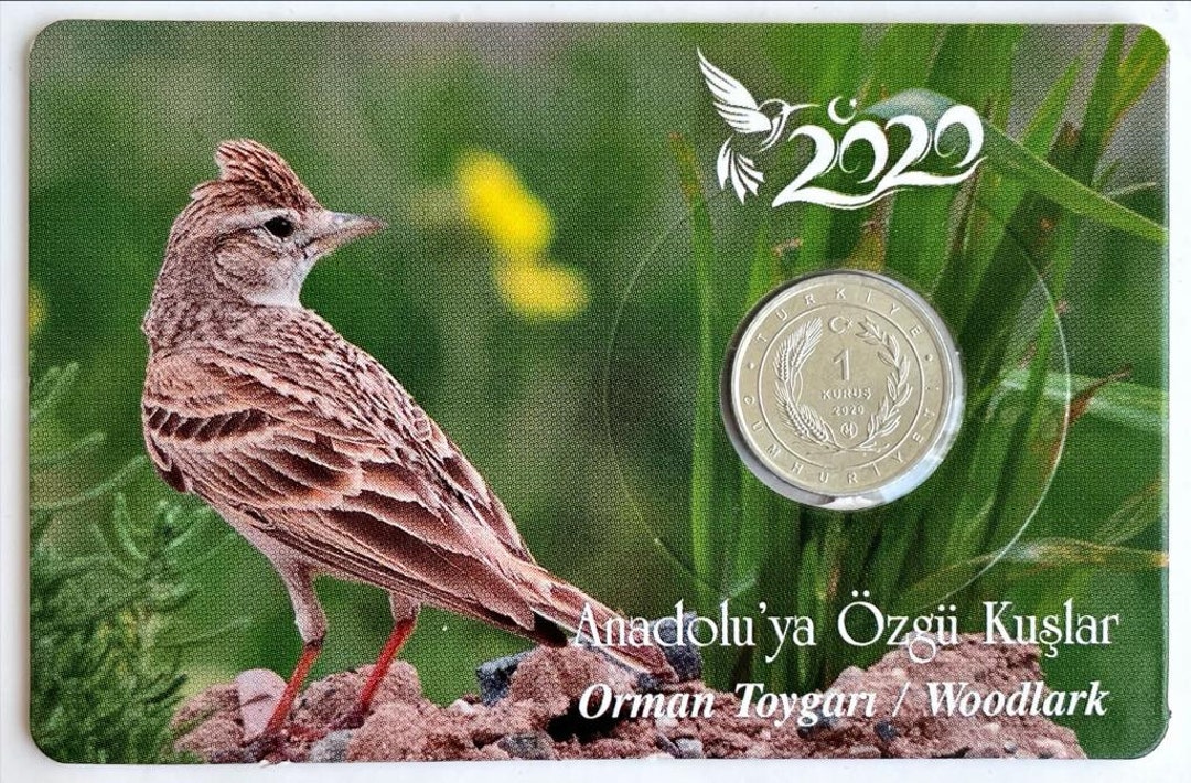 Turkey Turkiye 1 Kurus 2020 Native Birds of Anatolia - Woodlark ...