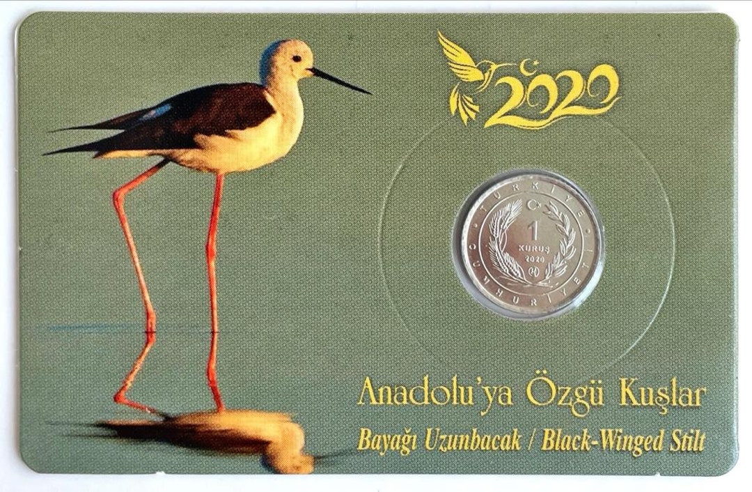 Turkey Turkiye 1 Kurus 2020 Native Birds of Anatolia - Black-winged ...