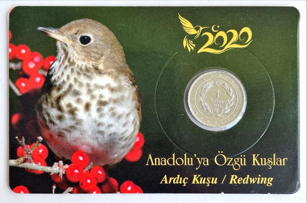 Turkey Turkiye 1 Kurus 2020 Native Birds of Anatolia - Redwing ...