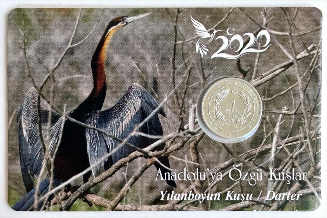 Turkey Turkiye 1 Kurus 2020 Native Birds of Anatolia - Darter ...