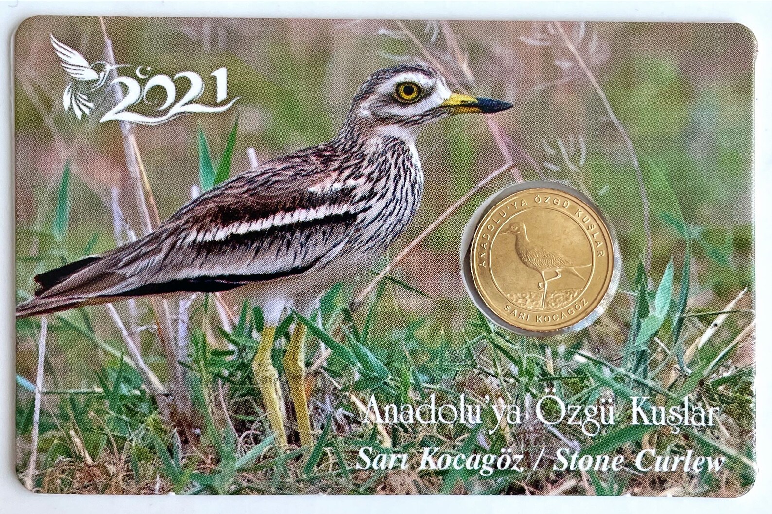 Turkey Turkiye 1 Kurus 2021 Native Birds of Anatolia - Stone Curlew ...