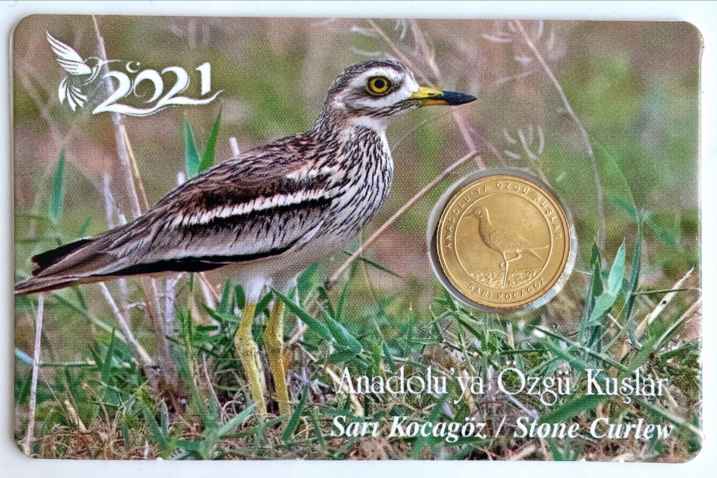 Turkey Turkiye 1 Kurus 2021 Native Birds of Anatolia - Stone Curlew ...