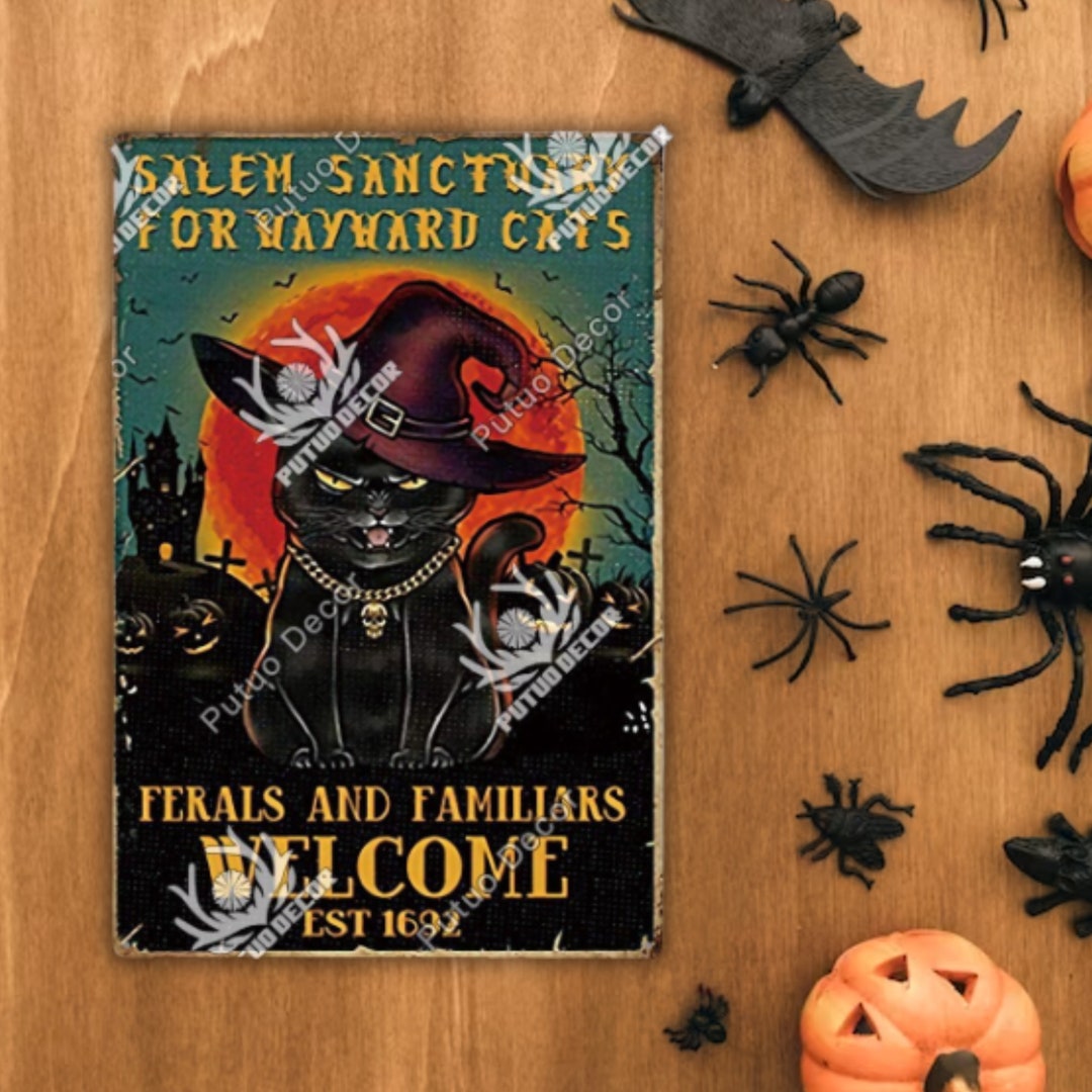Salem Sanctuary for Wayward Cats Ferals and Famirials Welcome Est ...