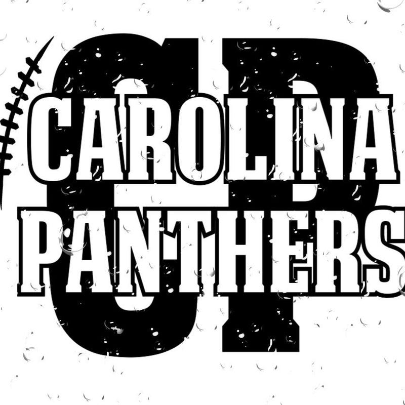 Panther Decals - Etsy