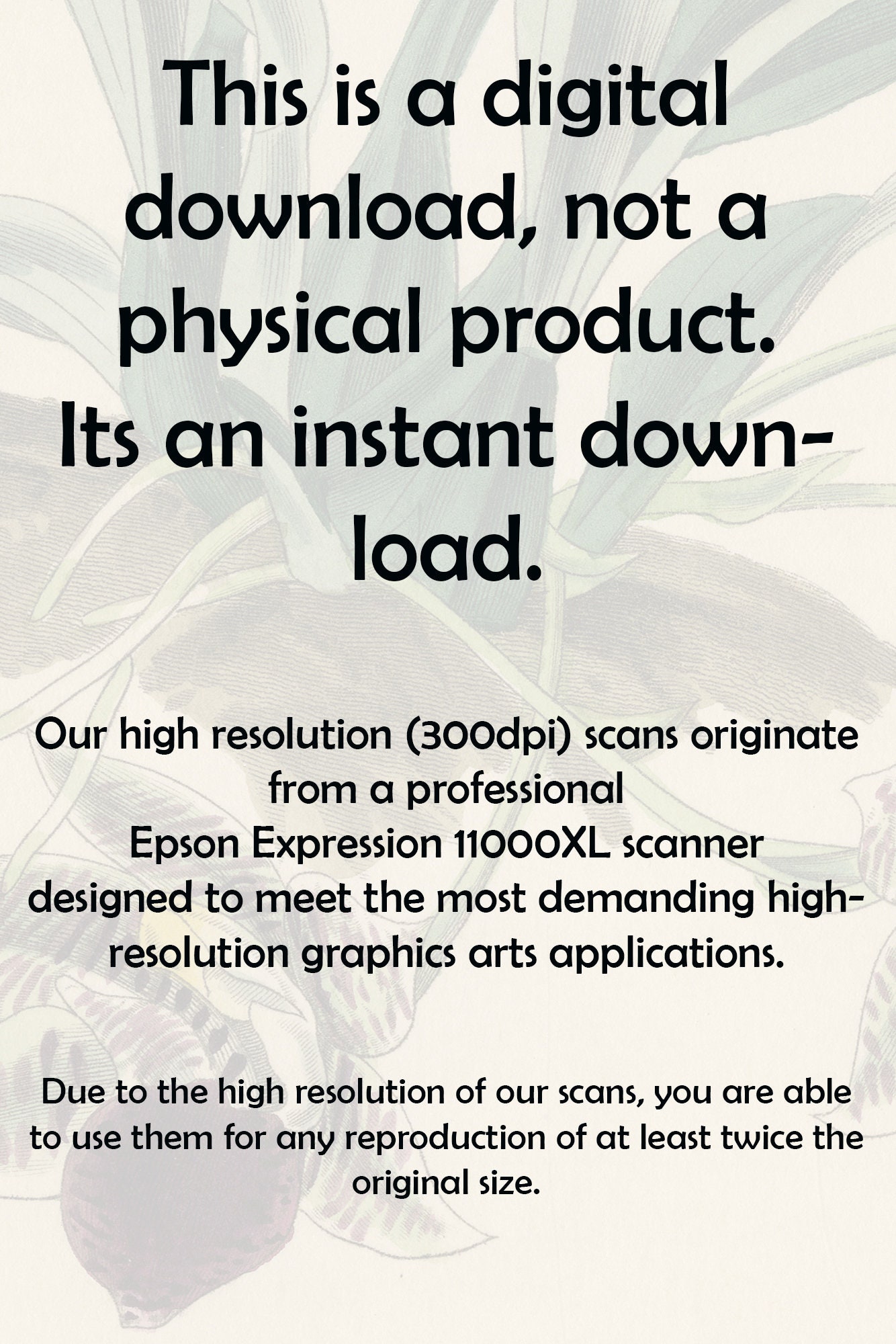 Antique Print of Several Fish Species: Common Bream, Ziege, Minnow and ...