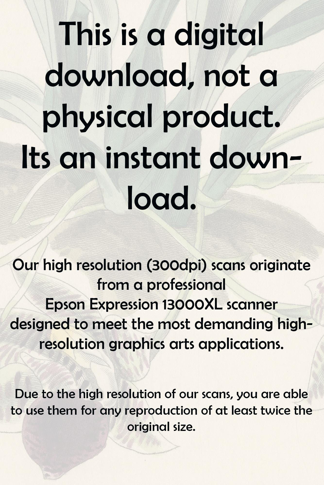 Antique Mourning Card Print | Vintage Funeral Ephemera | 1852 ...