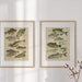 Antique Print of Several Fish Species: Common Bream, Ziege, Minnow and ...