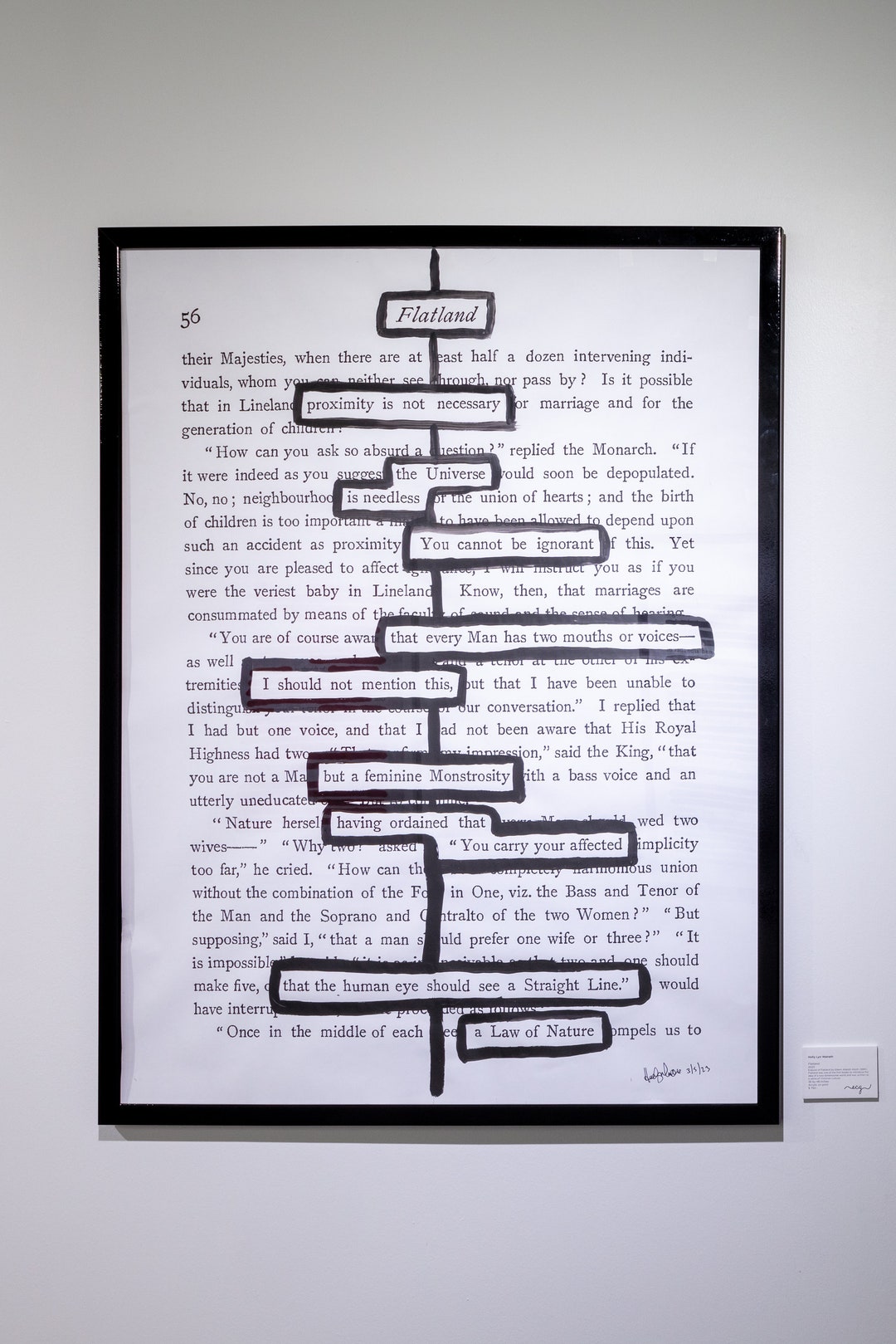 Original Art Giant Large Scale Painting Flatland Framed Erasure Poem ...