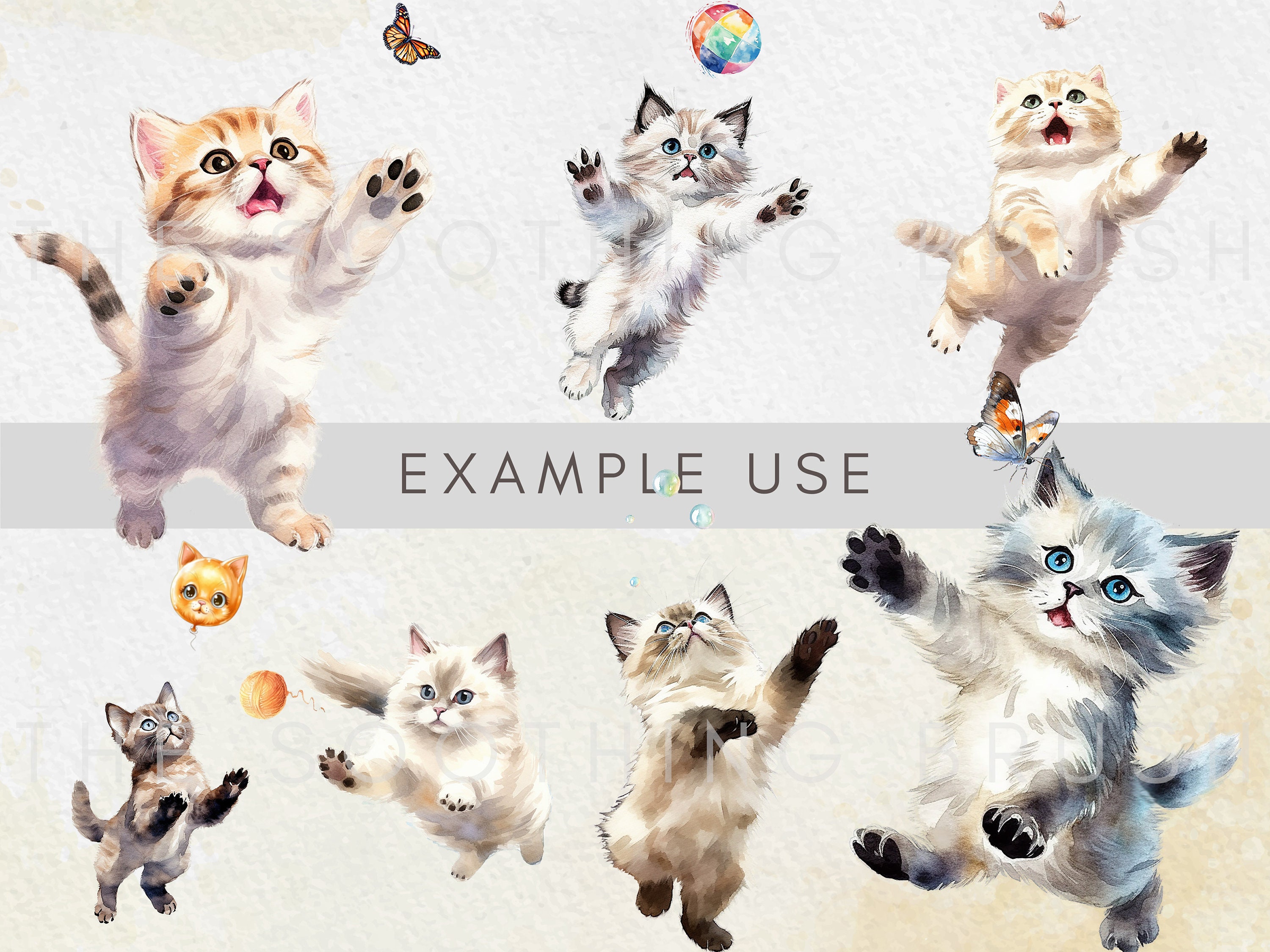 Watercolor Cat Breed Kitten Bundle Clipart Watercolour - Etsy