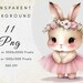 Watercolor Ballerina Bunny Clipart Ballet Bunnies in Tutu - Etsy UK