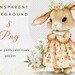 Watercolor Bunny Clipart Flower Dress Easter Bunny Nursery - Etsy