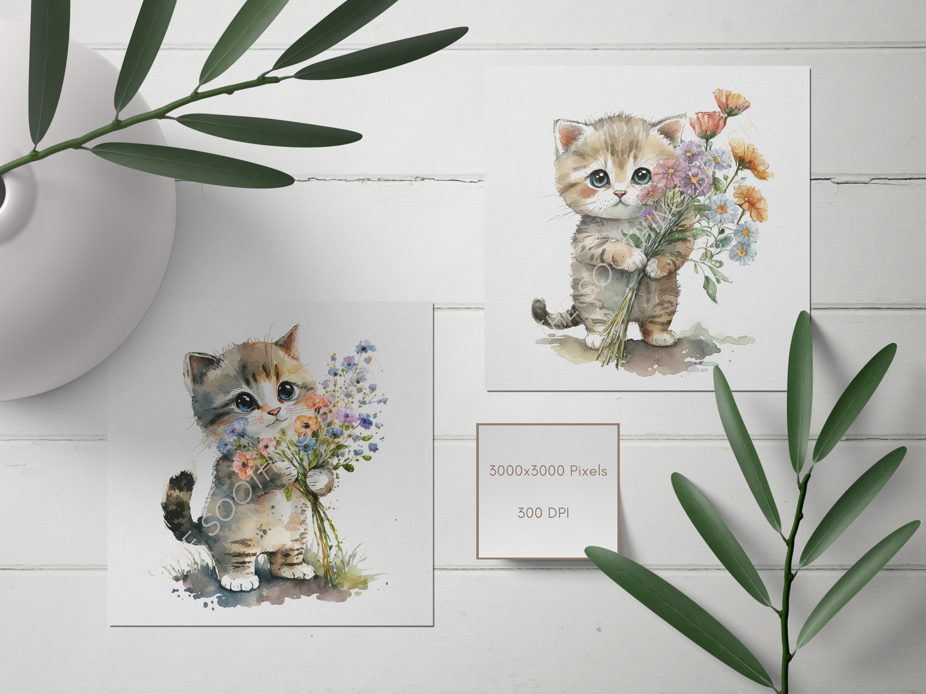 Watercolor Baby Cats Clipart Watercolour Kitten Transparent - Etsy