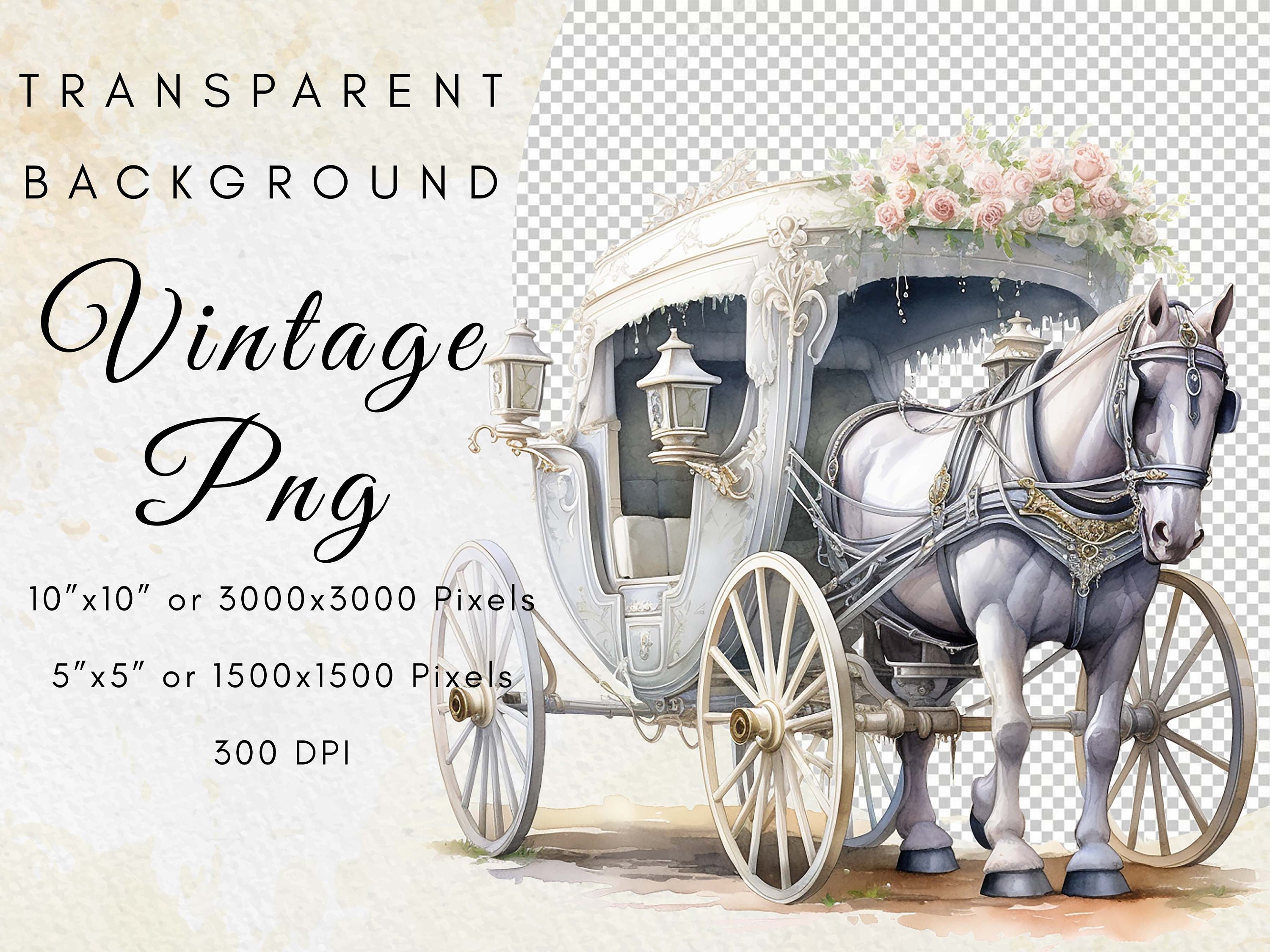 Victorian Wedding Clipart Vintage Bride Groom Png Baroque - Etsy