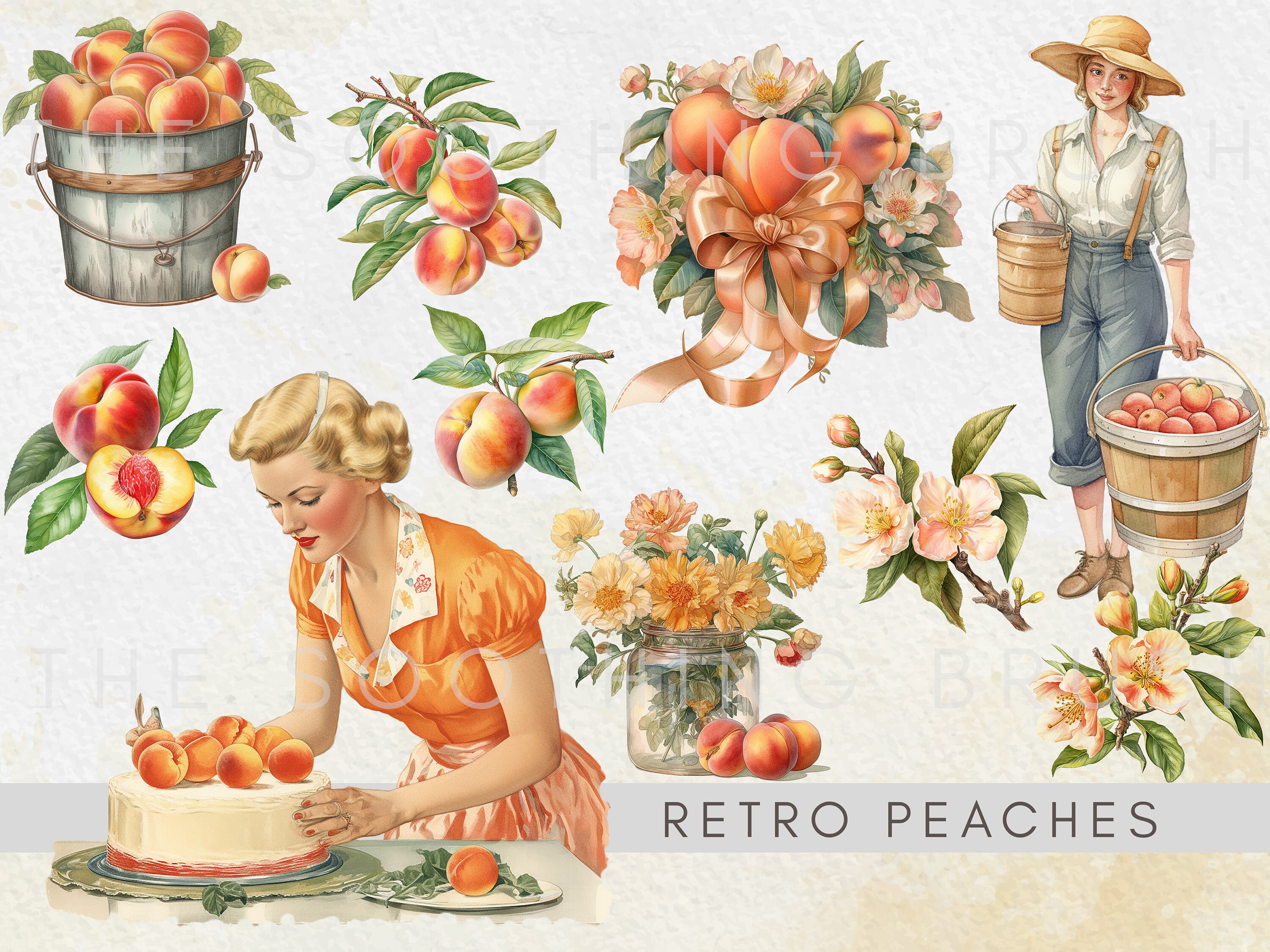 Watercolor Peach Clipart Vintage Clipart Bundle Retro - Etsy