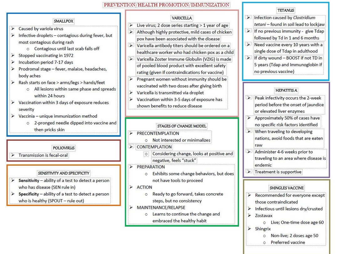Full 95 Pages COLOR Study Guide for FNP Program - Etsy