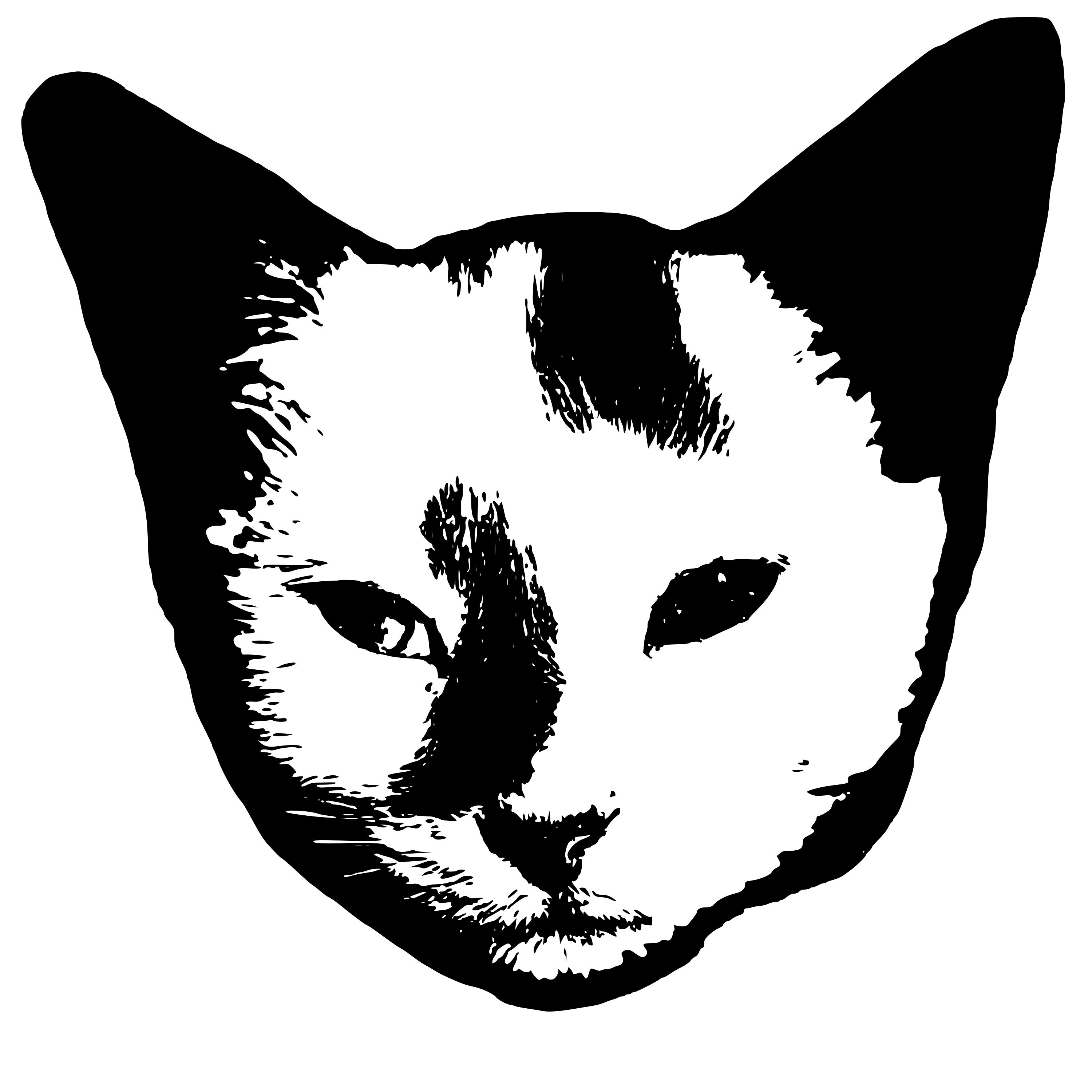 Cat Face SVG PNG JPEG Digital Download - Etsy