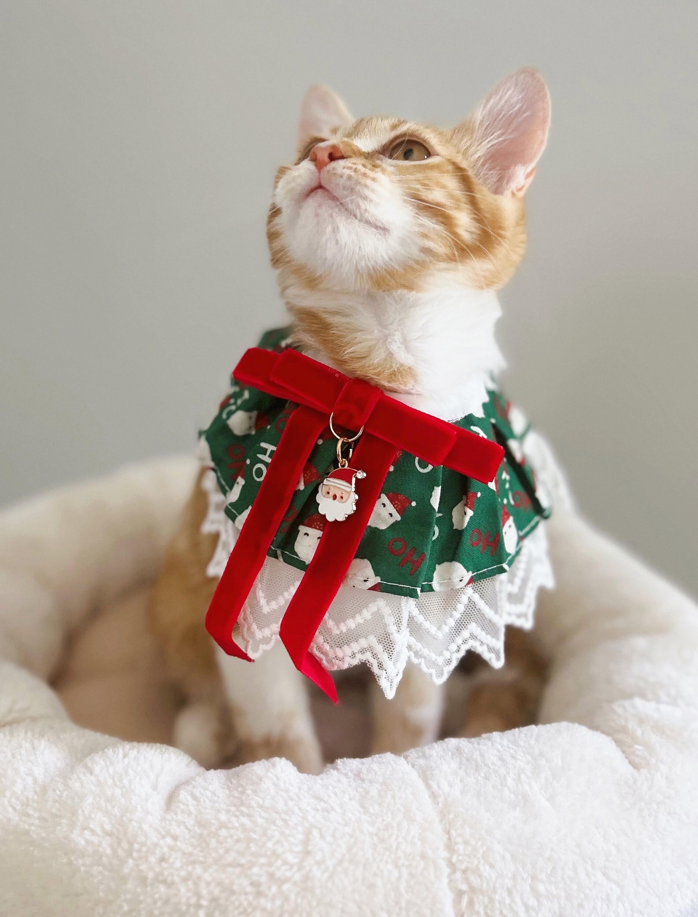 Pet Christmas Necklace, Santa Claus Cat and Dog Collar, Holiday ...