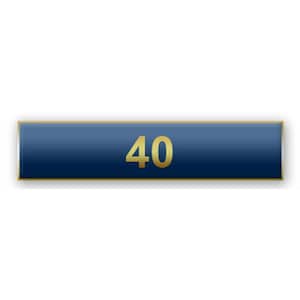 Blue "40 Years of Service" Citation Bar Lapel Pin - Etsy