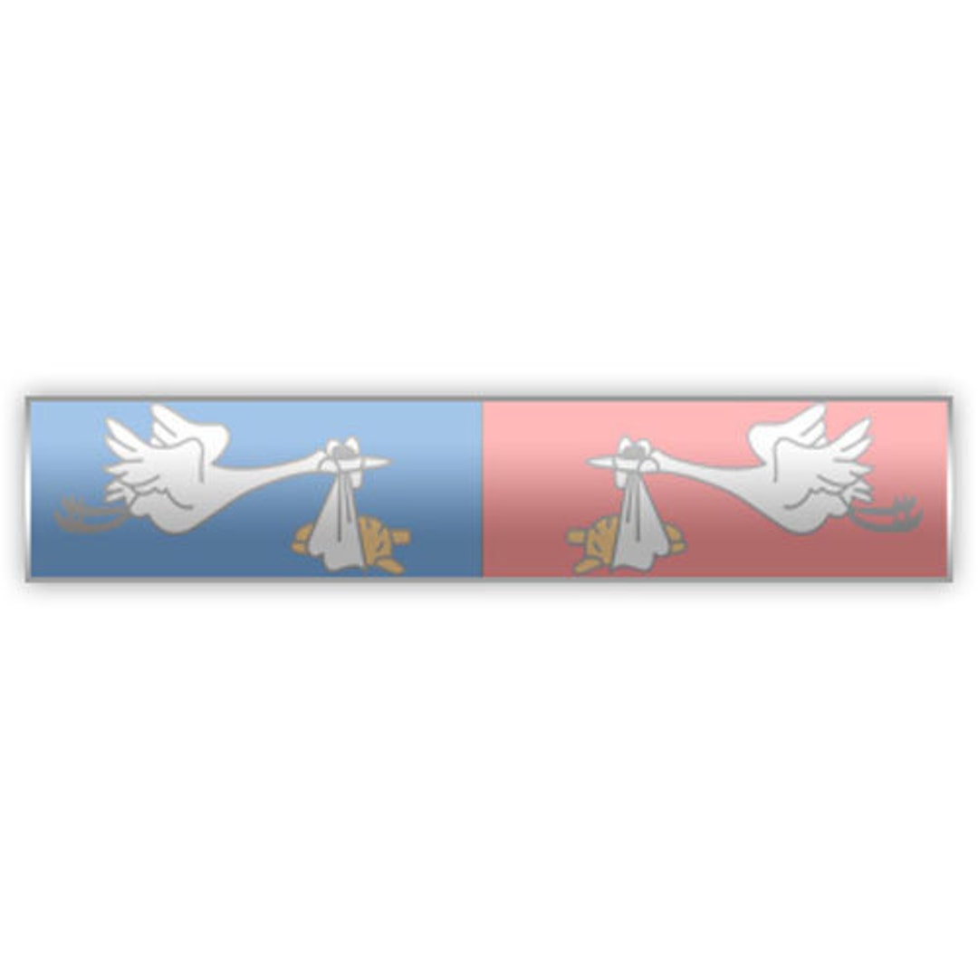 Blue/pink Stork Citation Bar Lapel Pin - Etsy