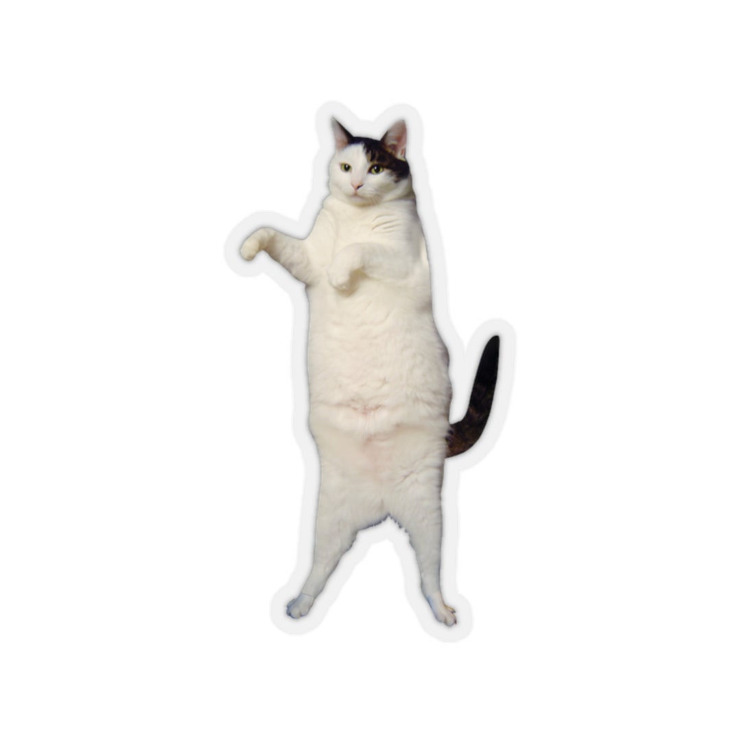 Kitty Cat Dance Sticker #2 - Etsy