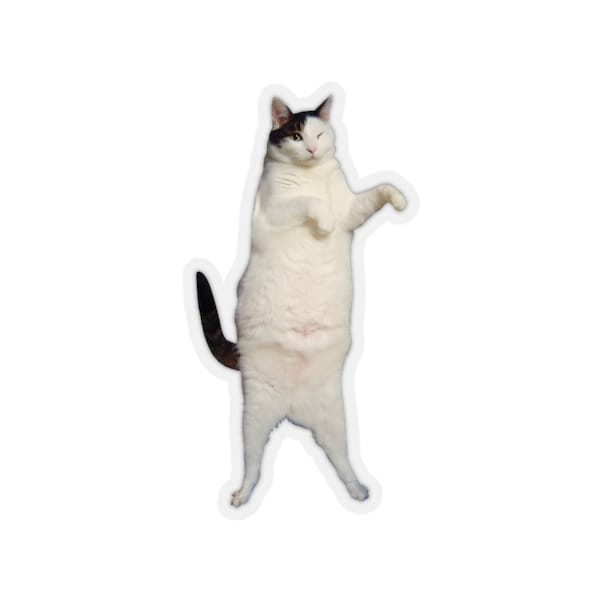 Cats Dancing - Etsy